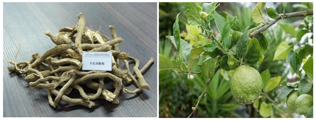 DCR®520-天然抗敏、舒缓化妆品原料